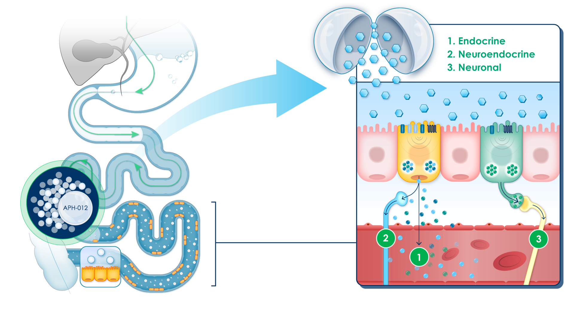 Our Approach – AphaiaPharma